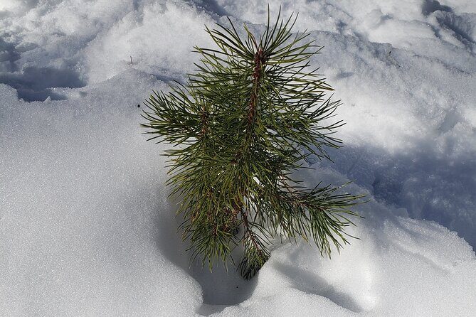 Women's Snowshoeing in Rocky Mountain National Park for Beginners - Final Thoughts
