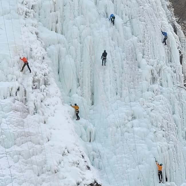 Wondae-ri Birch Forest and In-je Maebawi Icewall Day Tour - Practical Details of the Tour