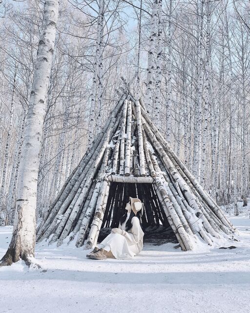 Wondae-ri Birch Forest and In-je Maebawi Icewall Day Tour - The Sum Up