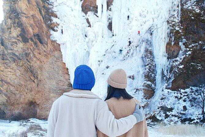 Wondae-ri Birch Forest and In-je Maebawi Icewall Full Day Tour - An In-Depth Look at the Tour Itself