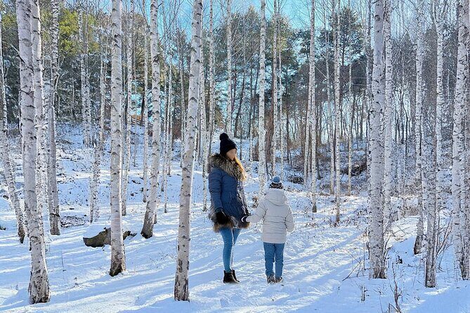 Wondae-ri Birch Forest and In-je Maebawi Icewall Full Day Tour - Final Thoughts