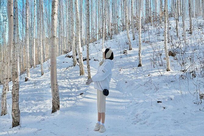 Wondae-ri Birch Forest and In-je Maebawi Icewall Full Day Tour - FAQs