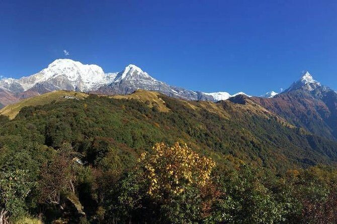 Wonderful Australian Camp & Sarangkot Trek - Who Will Love This Tour?
