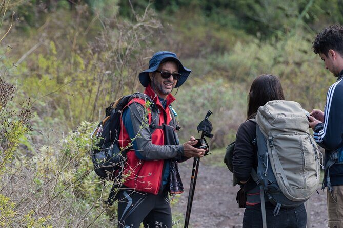 Wonderful hike through the Magic Forest of Tenerife - FAQs