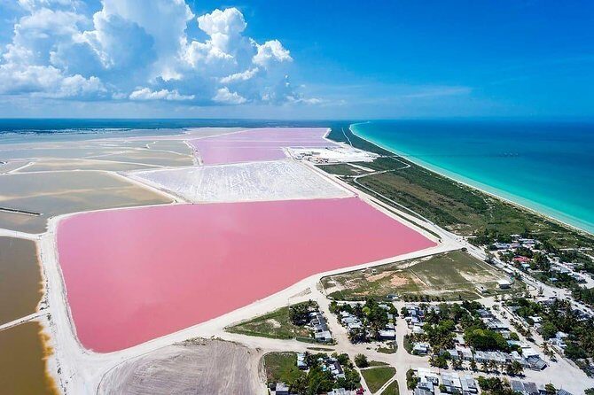 Wonderful Tour Las Coloradas & Buffete only from Cancun - In Closing