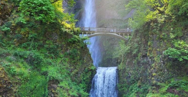 Wonderful Waterfalls of Columbia River Gorge Tour - An Overview of the Experience