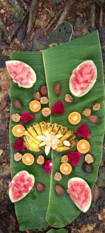 Wonderfull Orangutan Sumatera Jungle Trekking and tour - FAQ