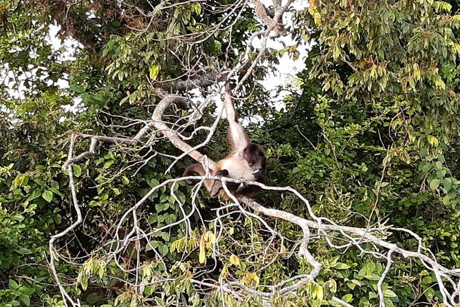 Wonders in the jungle of our mother culture Catemaco & Los Tuxtlas - Key Points