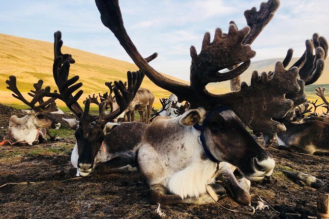 Wonders of Northern Mongolia 15 days - The Itinerary Breakdown: What to Expect