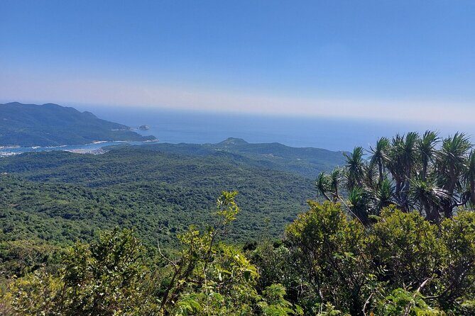 Wonders of Nui Chua National Park - Day Trek in Vinh Hy Bay - In-Depth Review of the Trek Experience