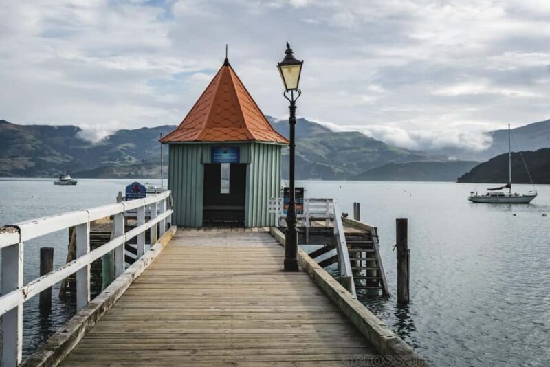 Wonders of Wellington: A Day of Icons, Views & Culture - Key Points