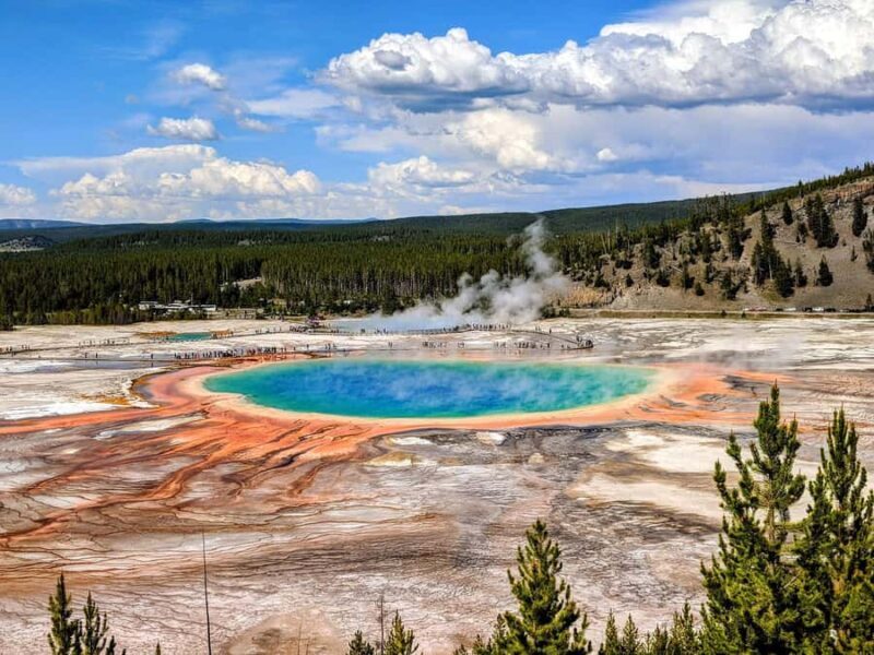 Wonders of Yellowstone: Private Lower Loop Tour with Lunch - A Close Look at the Itinerary