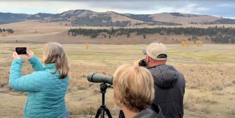 Wonders of Yellowstone: Private Lower Loop Tour with Lunch - The Experience of a Private Group