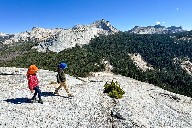 Wonders of Yosemite: Kid Friendly Private Tour - An In-Depth Look at the Itinerary