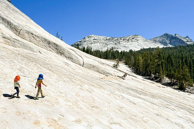 Wonders of Yosemite: Kid Friendly Private Tour - FAQs