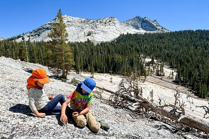 Wonders of Yosemite: Kid Friendly Private Tour - Final Thoughts