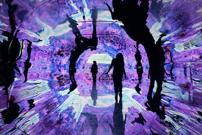Wonderspaces Arizona Admission - The Atmosphere and Layout
