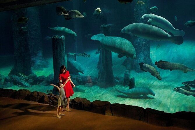 Wondrous Wildlife @ River Wonders + Roundtrip Transfers - Who Should Consider This Tour?