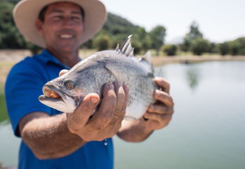 Wonga: Daintree Saltwater Farm Tour - What Our Readers Say
