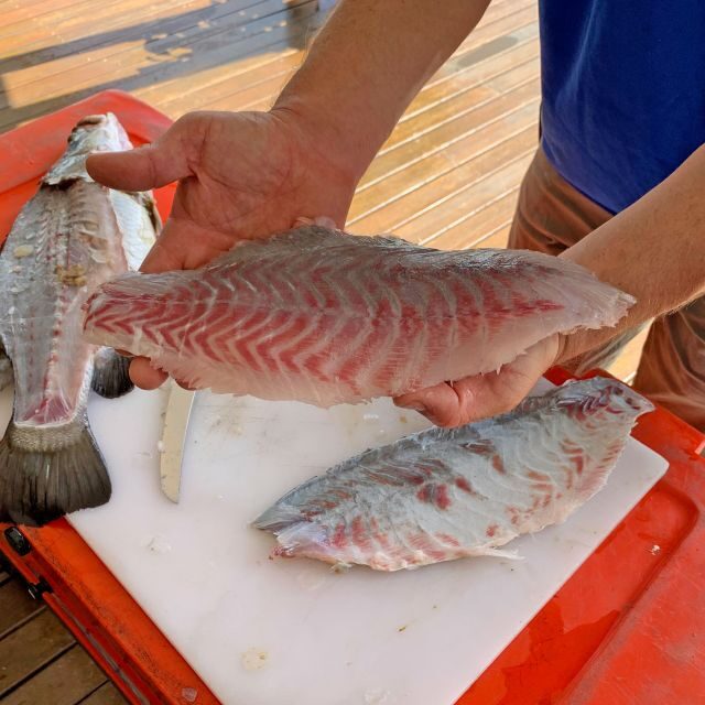 Wonga: Guided Fishing, Farming and Tasting Tour - Introduction: A Fresh Take on Queensland’s Coastal Attractions