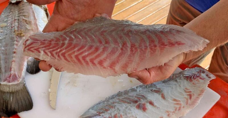 Wonga: Guided Fishing, Farming and Tasting Tour - The Experience: What Makes It Special