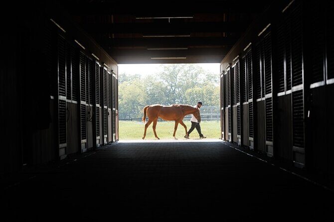 Woodford Reserve, Kismet Thoroughbred Farm & Whiskey Thief - The Value of the Tour