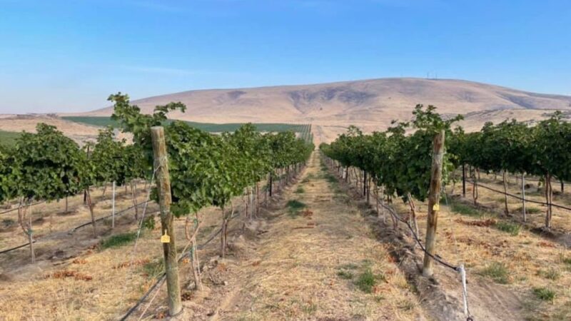 Woodinville Wine Country: Warehouse District Wine Pass - Who Should Consider This?