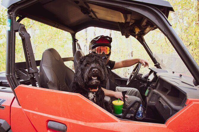 Woodland Park: 4-Hour Self-Guided Mountain UTV Tour - You Drive - Final Thoughts