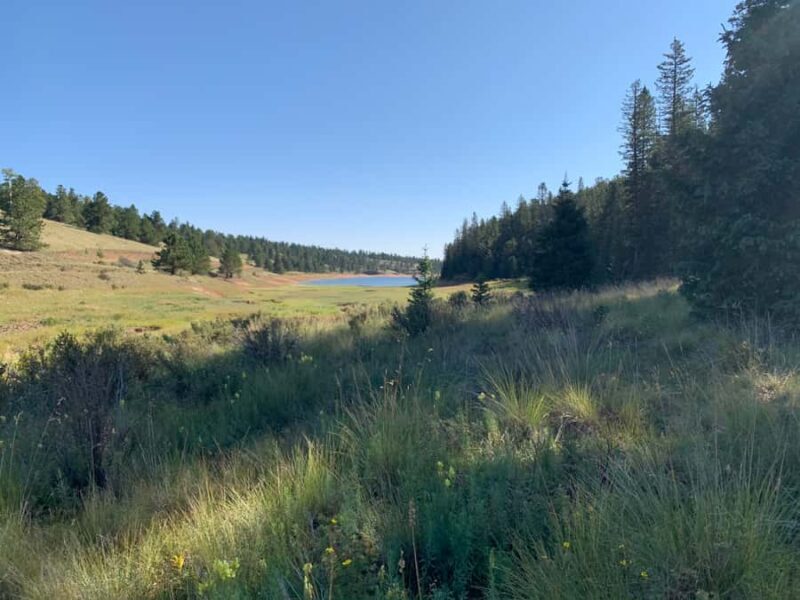 Woodland Park: Snowshoeing Guided Hike - What Makes This Snowshoe Hike Special