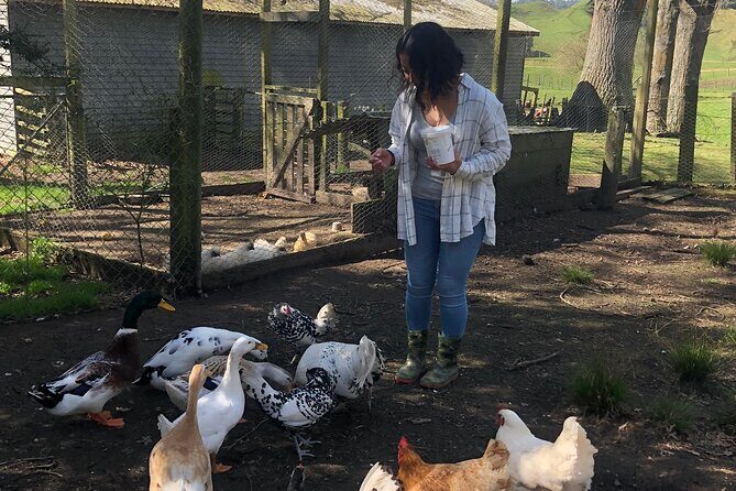 Wool Sheep Farm Experience with Handmade Wool Hat in New Zealand - An In-Depth Look at the Wool Sheep Farm Experience