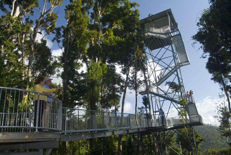 Wooroonooran National Park: Mamu Tropical Skywalk Admission - Exploring the Mamu Tropical Skywalk