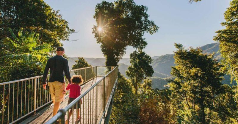 Wooroonooran National Park: Mamu Tropical Skywalk Admission - A Day in the Rainforest: The Practical Details