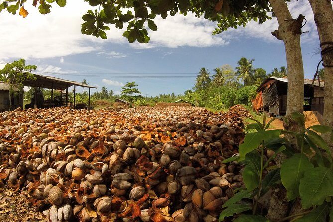 Work With Local Coir Mill - What the Reviews Say (Even if Limited)