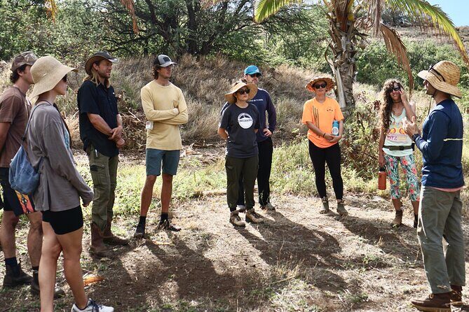 Work with Native Reforestation and Polynesian Agriculture in Maui - The Value Proposition