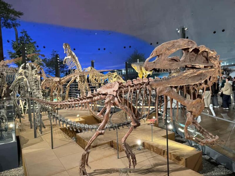 World-Class Dinosaur Museum Tour from Kanazawa - The Return Trip and Overall Value