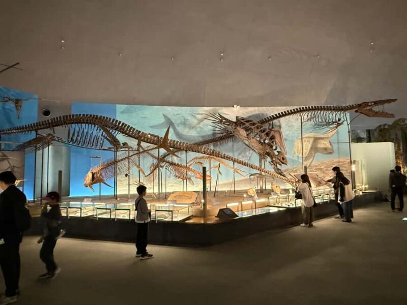 World-Class Dinosaur Museum Tour from Kanazawa - Who Would Love This Tour?