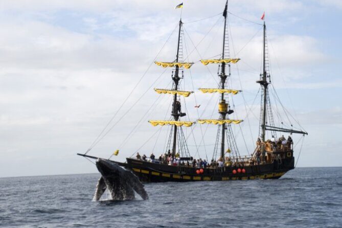 World Class Whale Watching with Breakfast and Open Bar - FAQ