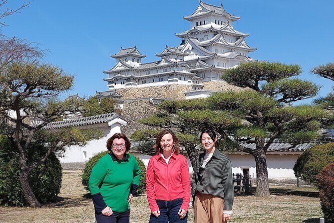 World Heritage Himeji Castle & Sake Breweries Private Tour - A Detailed Look at the Experience