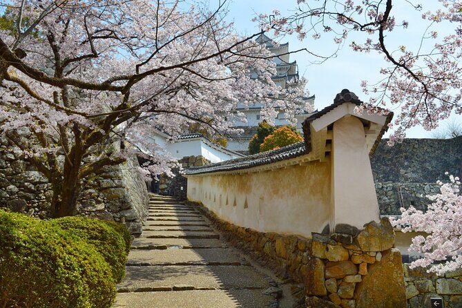 World Heritage Himeji Castle & Sake Breweries Private Tour - Practical Tips for Participants