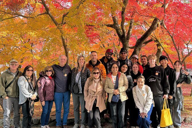 World Heritage Kyoto & Nara Uji Authentic Matcha Experience - Who Would Love This Tour?