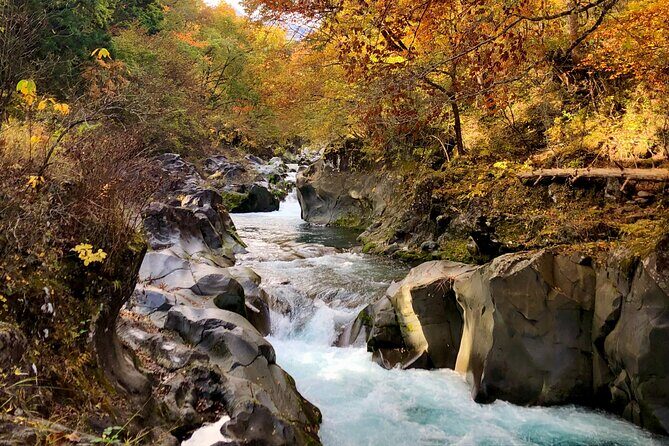 World Heritage Nikko Walking Tour Toshogu and Kanmangafuchi - Who Should Consider This Tour?