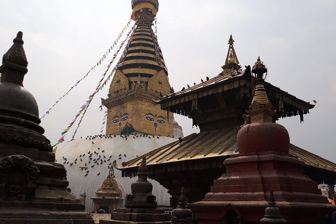 World Heritage Sites and Wildlife - FAQ: Practical Questions About the Tour