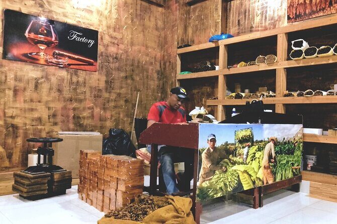 World Mart Souvenirs Store - Free Pick-up / Drop-off - Key Points