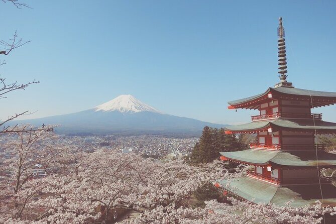 World's Most Famous Sight, Mount Fuji, with an English-Speaking Guide - The Value of This Experience