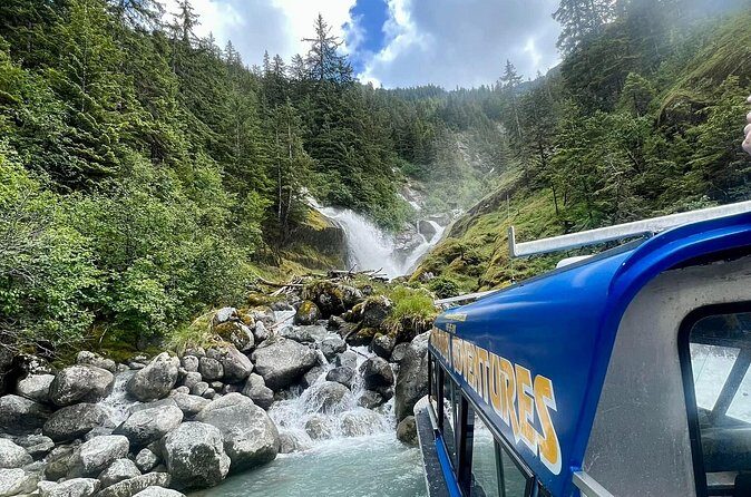 Wrangell Alaska Marine Sightseeing Tour - Who Should Consider This Tour?