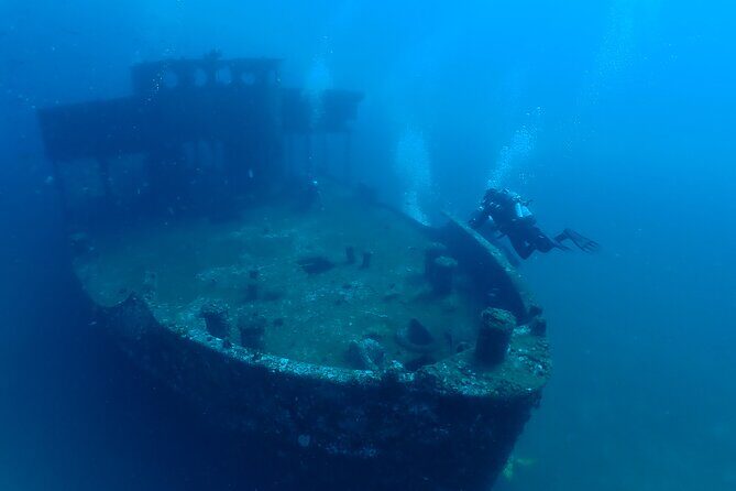 Wreck and Bridge Span Dive for Certified Divers - A Close Look at the Wreck and Bridge Span Dive for Certified Divers