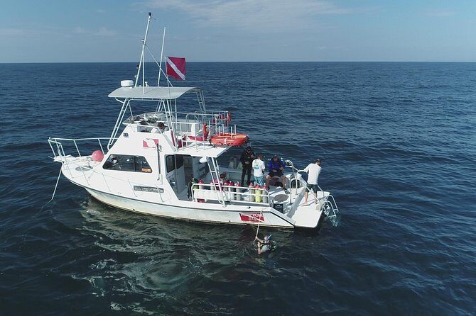 Wreck and Bridge Span Dive for Certified Divers - Key Points