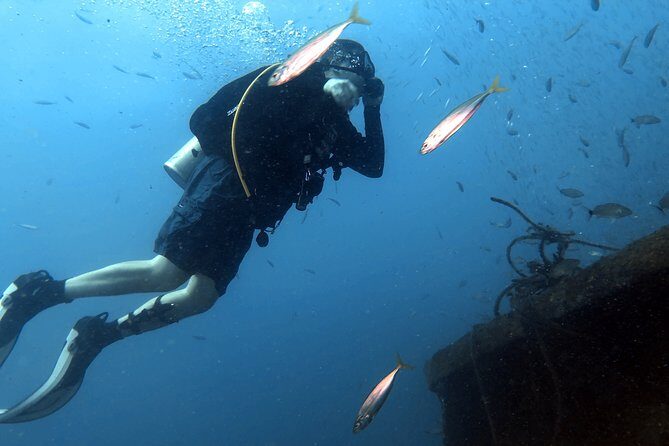 Wreck and Bridge Span Dive for Certified Divers - FAQ