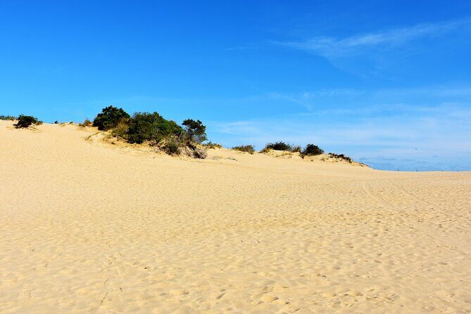 Wright Brothers Carolina Dunes Self-Guided Driving Audio Tour - The Sum Up