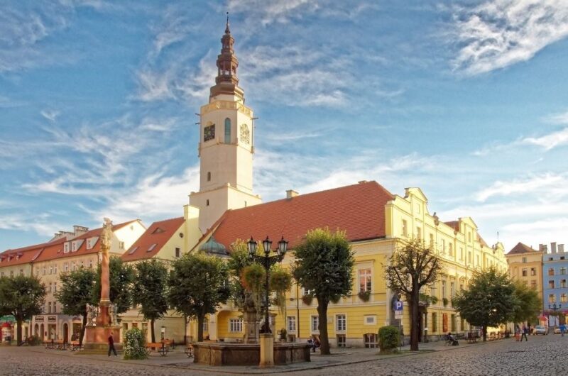 Wroclaw: Lower Silesia, Ksiaz Castle & Church of Peace Tour - Who Would Like This Tour?
